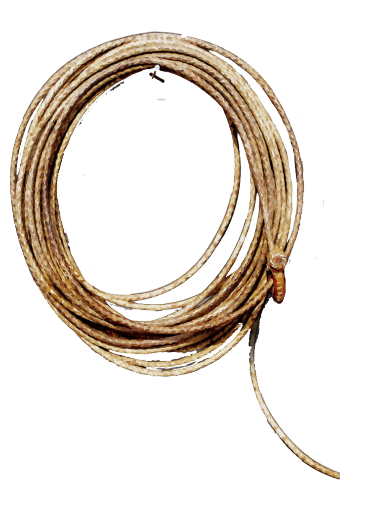 Lazo – CORREO DE LARA